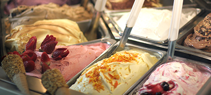 Gelato Start-Up Program | Gelato & Sorbet, Equipment & Supplies